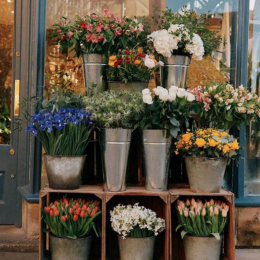 Where to Walk in Uppingham